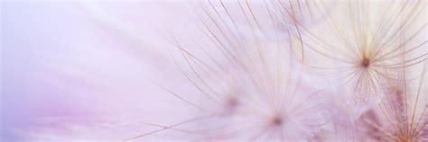 Alexandra Gendelmannde Über Mich