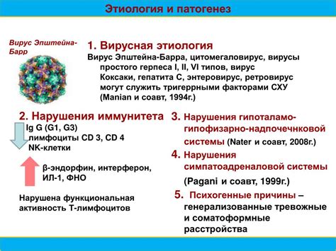 Вирус коксаки у взрослых через сколько дней проходит сыпь фото