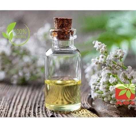 India Valeriana Officinalis Valerian Root Essential Oil At ₹ 49000kg