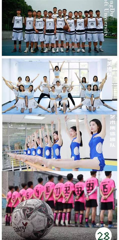 為啥報成都東軟學院？今天咱來捋捋，句句大實話 每日頭條