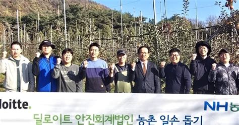 딜로이트 안진회계법인 사과수확 돕기 ‘구슬땀