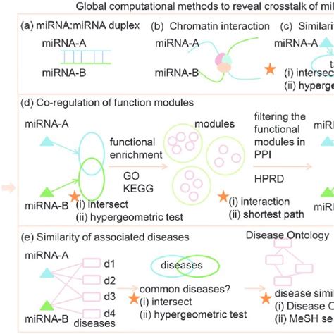 Identify The Crosstalk Among Mirnas From Genomics To Phenomics A The