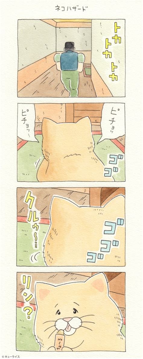 Https T Co Iptvzmldtp Ht