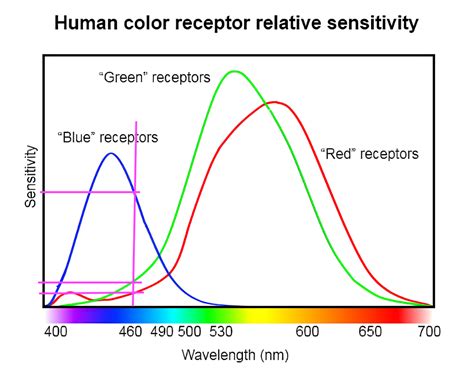 Perception Of Color Wavelengths And Super Vision With A Fourth Color