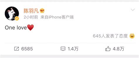 陈羽凡吸毒被抓：拥有17家公司的他为何走上了这一步？ 搜狐大视野 搜狐新闻