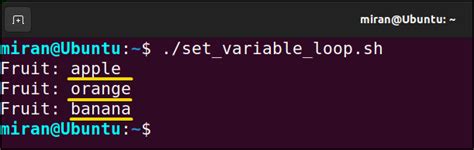 How To Use Set Variable In Bash Scripts 2 Examples Linuxsimply