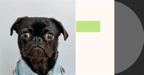 List Sql Stored Procedures Curated By Alina Bazavan Backend Developer Python Django Medium