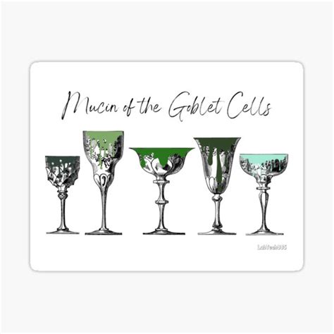Mucin Of The Goblet Cells Sticker For Sale By Labtech985 Redbubble
