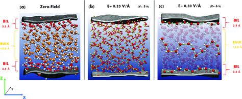 snapshots extracted from the dft md simulations representing the