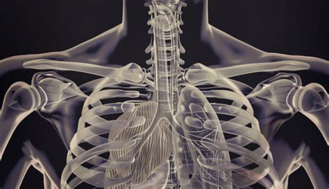 Bacterial Tracheitis Croup Md Searchlight