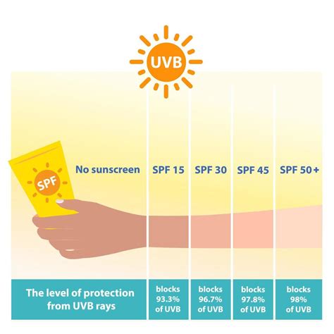 The Different Levels Of SPF Sunscreen Protect UVB Rays Vector On White