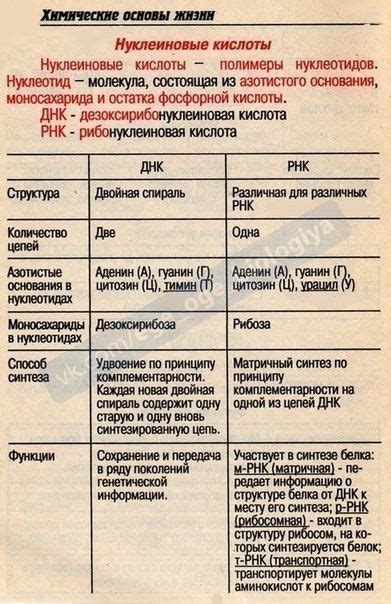 Пин от пользователя Julia Fox на доске Медицина 😊 Углубленное изучение биологии Уроки