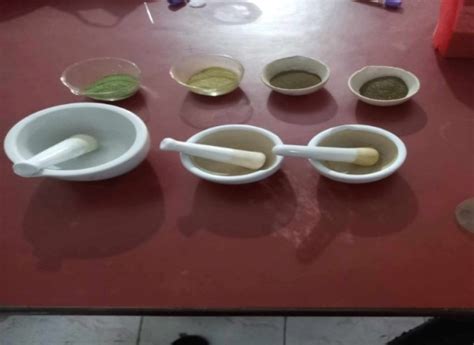 Formulation And Physiochemical Evaluation Of Polyherbal Toothpaste