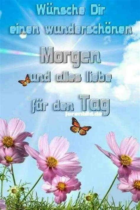 Pin von Sandy Fetoshi auf Guten Morgen schönen Tag noch guten Abend gute Nacht Guten morgen