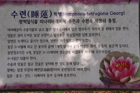 경남 고성 여행 가볼만한곳 추천코스 그레이스 정원 수국 상리연꽃공원 문수암 카페 도어스 네이버 블로그