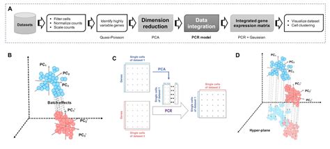 Figure 1 The Schematic Workflow Of Risc A Flowchart Of The Main
