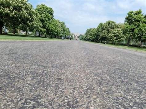 Never Ending Path Editorial Image Image Of Trees England 121023320