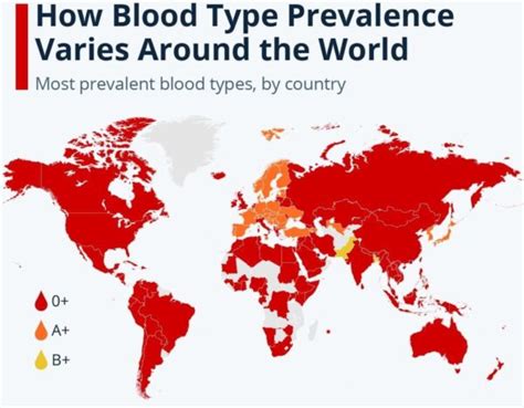 Descubren Un Tipo De Sangre Desconocido En India Un Hallazgo Histórico