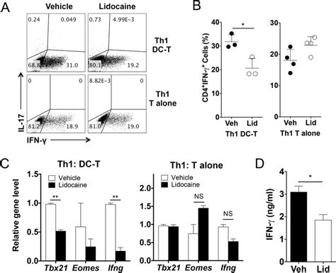 Lidocaine Inhibits Dendritic Cell Mediated Th1 Cell Differentiation In Download Scientific