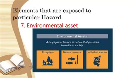 Vulnerability Elements Exposed To A Hazardpptx Environment Science