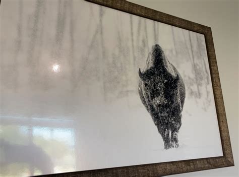 Bryce Whiting On Linkedin Be The Bison I Was Unaware Until Recently