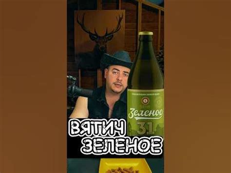 Пиво Вятич Зеленое обзор 🍺 short #shorts - YouTube
