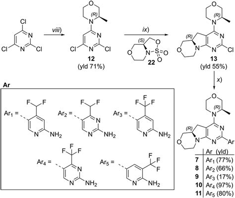 Scheme 2 Synthesis Of Compounds 7 11 Reagents And Conditions Viii