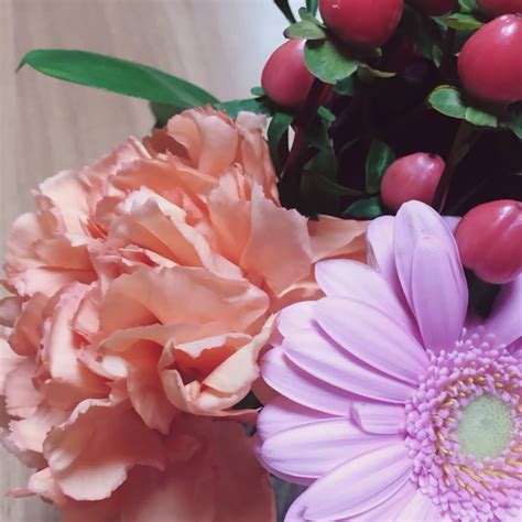 Nonnon💐お花×⚪️⚪️💐のroom 欲しい に出会える。