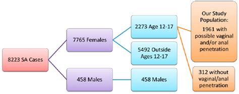 Flow Chart Of Sexual Assault SA Cases During The Study Period Download Scientific Diagram