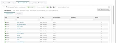 Cisco Crosswork Infrastructure 4 0 And Applications Administration Guide Manage System Health