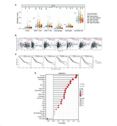 Correlation Analysis Of Serpine1 Expression And Immune Infiltration