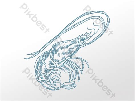 손으로 그린 선 그리기 스케치 수생 해산물 랍스터 그림 일러스트 Png Psd 무료 다운로드 Pikbest
