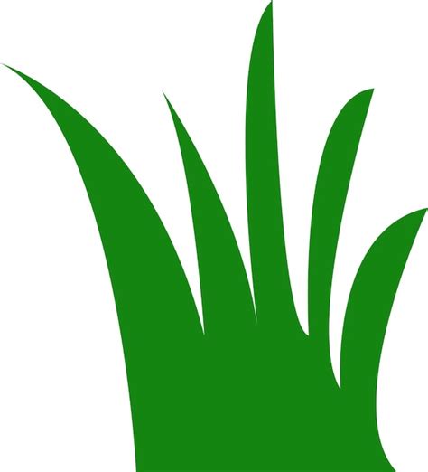 Premium Vector Grass Illustration