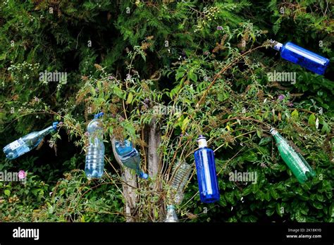Strange Plastic Fruits Hanging On Shrub Branches Lyon France Stock