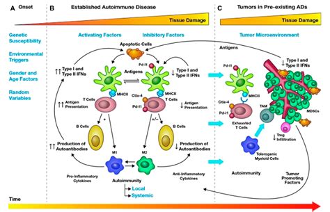 Figure 1 From Pd 1pd L1 Inhibitors In Patients With Preexisting