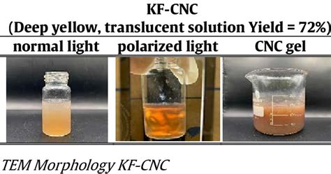Hydrolysis And Kf Cnc Synthesis Download Scientific Diagram