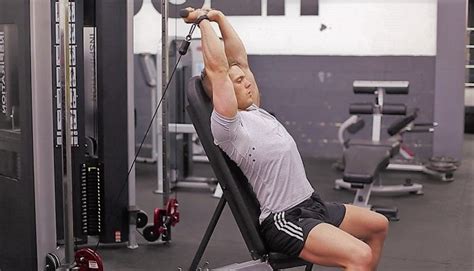 Extensión de tríceps con polea baja Musculación Total