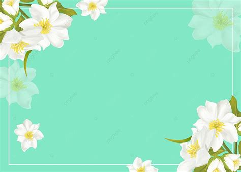 รูปวันแม่ของวันแม่ดอกมะลิที่เรียบง่ายดอกไม้พื้นหลังที่สวยงาม วันแม่