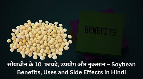 सोयाबीन के10 फायदे और नुकसान Soybean Benefits And Side Effects In Hindi