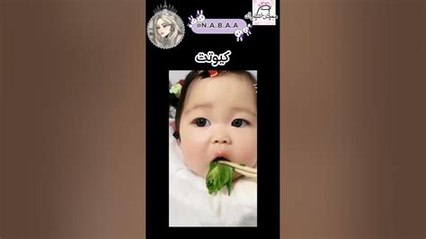 كيوتت 💕 Youtube