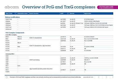 Polycomb And Chromatin Remodeling Research Tools Abcam
