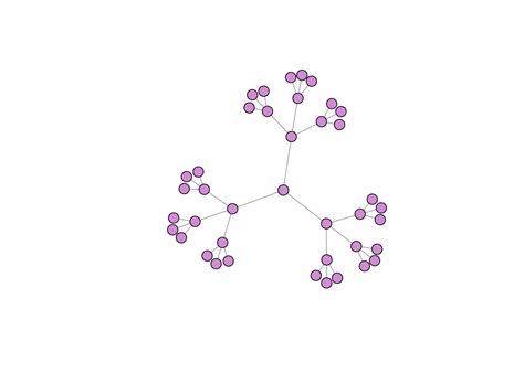 visualizing and describing networks