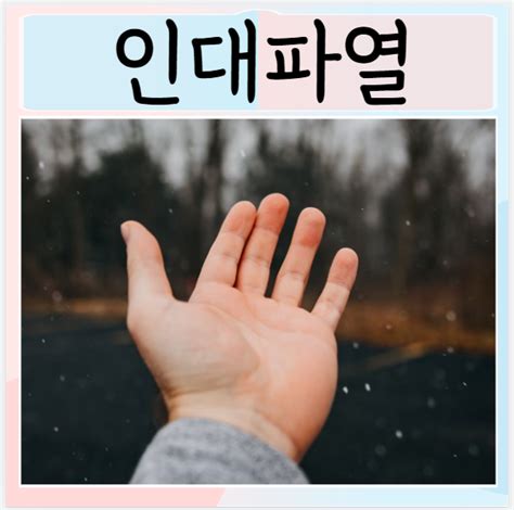 손가락 인대파열 굴근힘줄 진단 치료 네이버 블로그