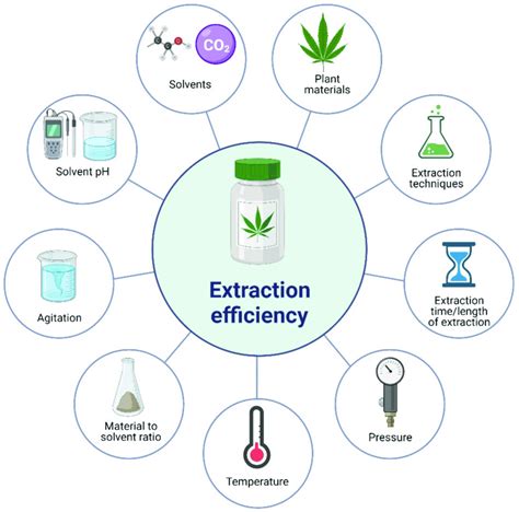 Factors Affecting The Extraction Efficiency Of Plant Bioactive