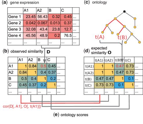 Figure 1 From An Ontology Based Method For Assessing Batch Effect Adjustment Approaches In