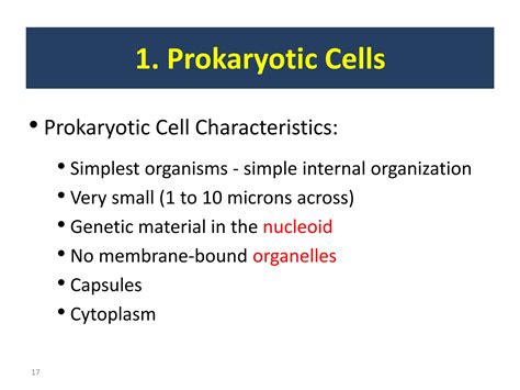 Lect Structure And Function Of Eukaryotes And Prokaryotes Cell Pptx
