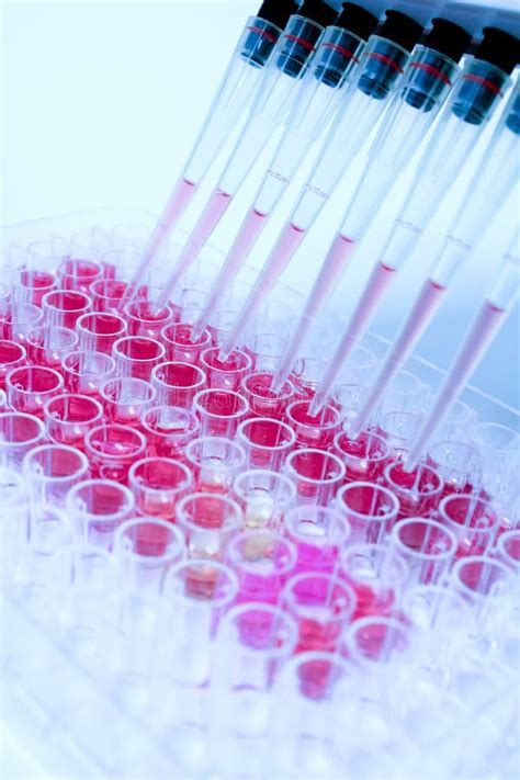 Science Experiment Stock Image Image Of Scientific Tray 22623201