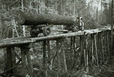An Old Logging Road Im Washington State Pics
