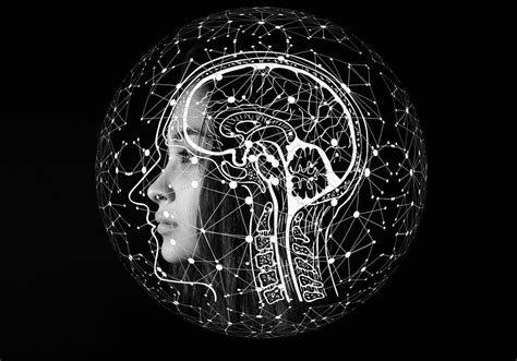 Multiple Intelligence Quiz Doquizzes