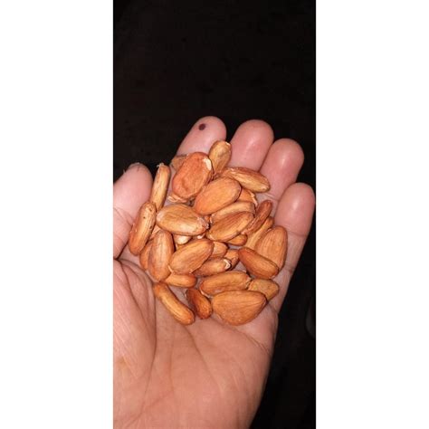 Jual Biji Kakao Coklat Kering 500 Gram High Quality Shopee Indonesia